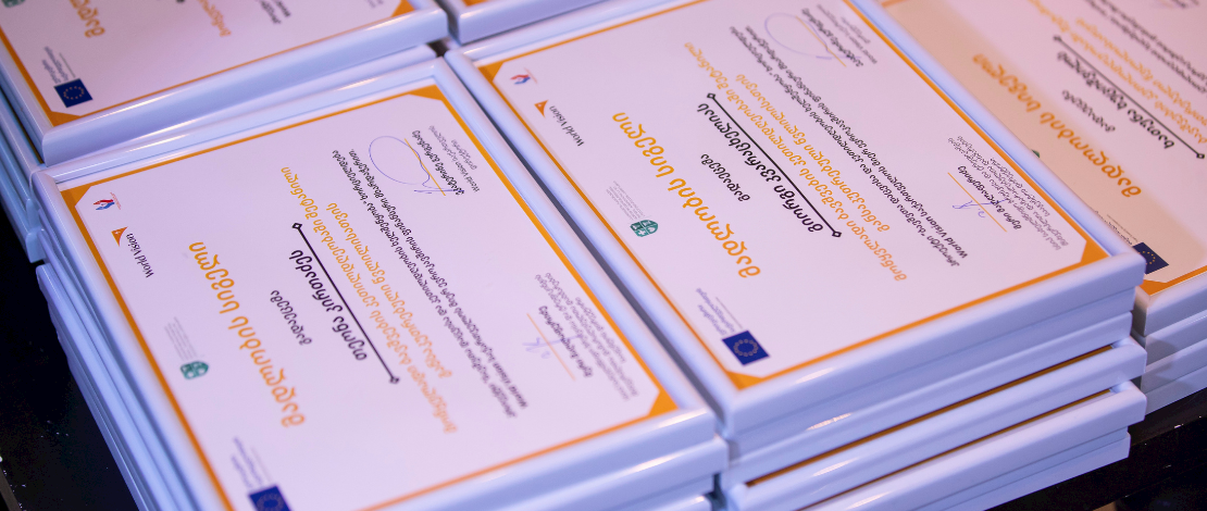 EU and World Vision Georgia hold the event for social workers and ...